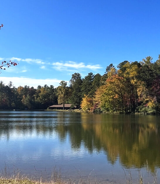 spring south carolina break ftr