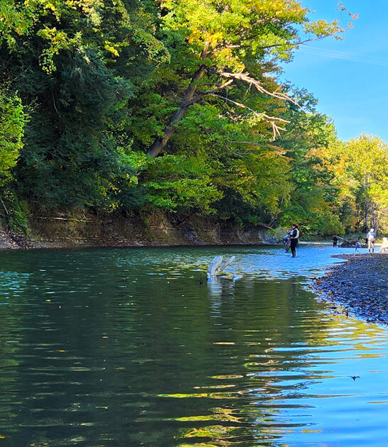 state park fascinating pennsylvania ftr