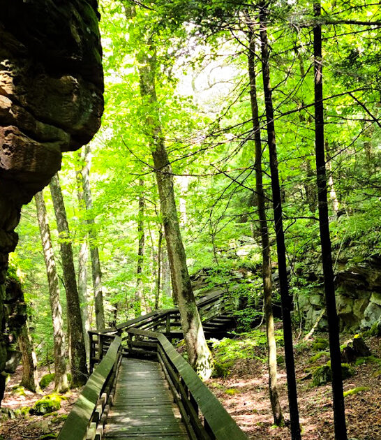 state parks west virginia ftr