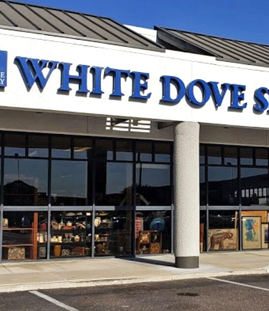 stores arizona bargain hunting ftr