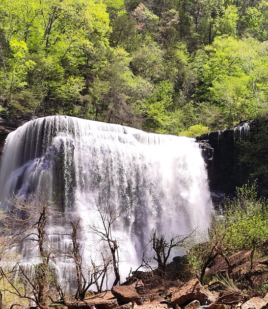 tennessee picturesque state parks ftr