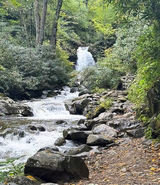 tennessee picturesque trail views ftr