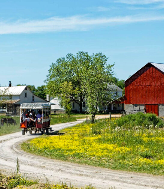tennessee small amish town ftr