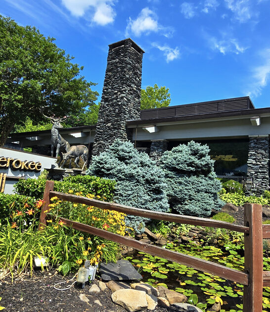 tennessee unassuming restaurant rib ftr