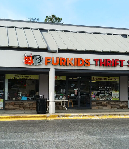 thrift store enormous georgia ftr