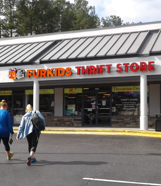 thrift store massive georgia ftr