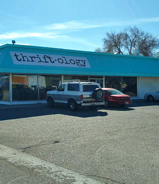 thrift stores bargain idaho ftr