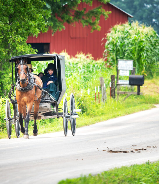 tiny amish town tennessee ftr