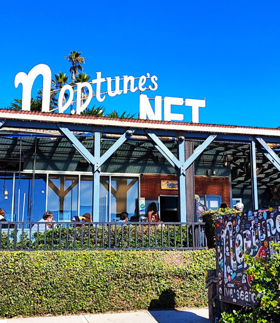 tiny california seafood good ftr