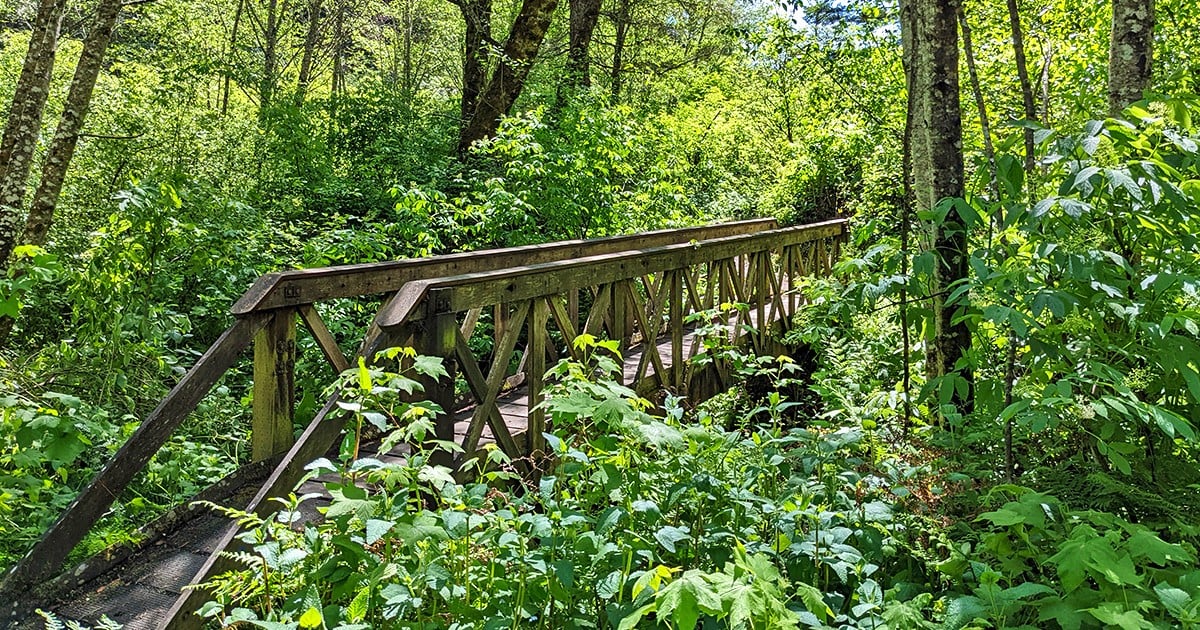 This Tiny But Mighty State Park In California Is Too Beautiful To Keep ...