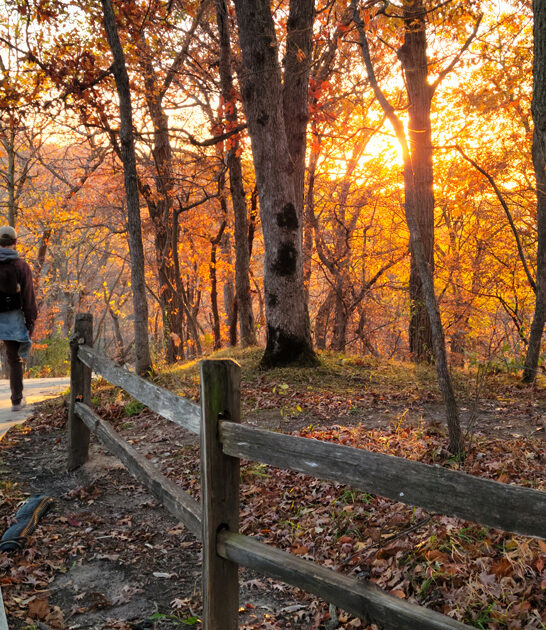 tiny mighty park iowa ftr