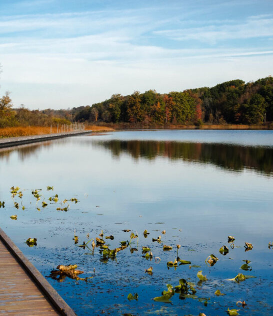 tiny mighty park ohio ftr