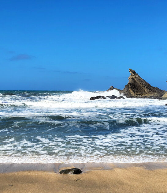 tiny mighty park oregon ftr