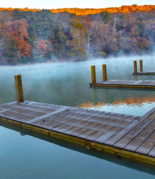 tiny perfect park arkansas ftr