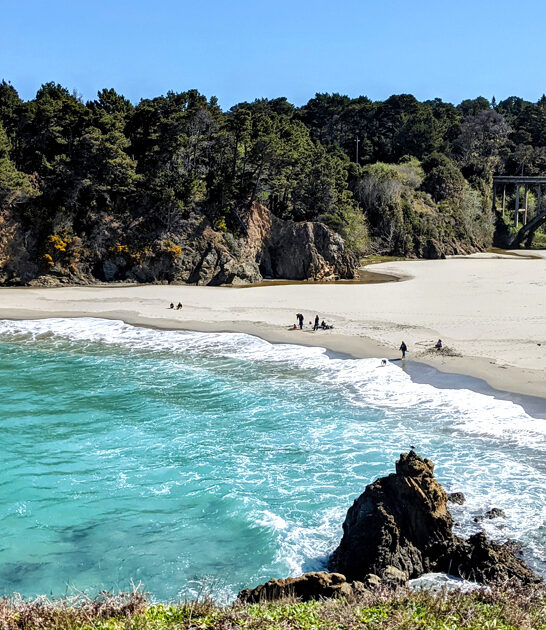 tiny state california park ftr