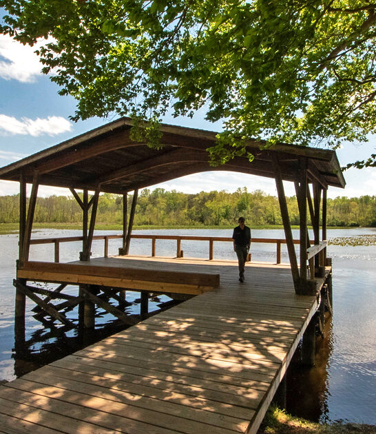 tiny state maryland park ftr