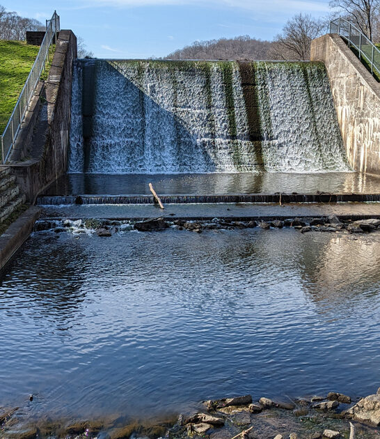 tiny state ohio park ftr