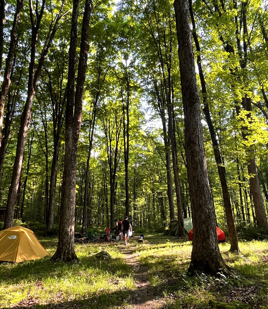 tiny state park connecticut ftr