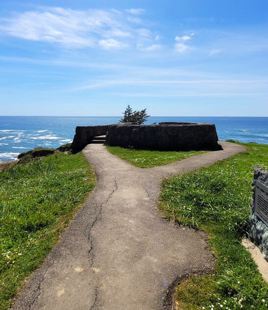 tiny state park oregon ftr