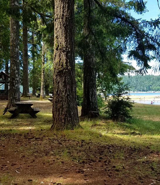 tiny state park washington ftr