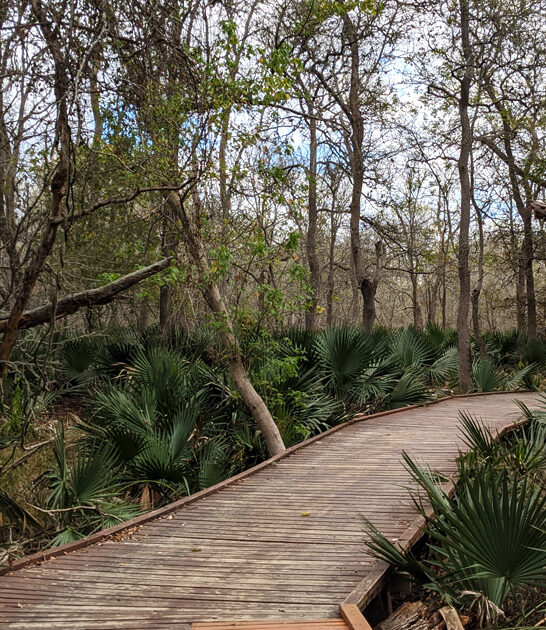 tiny state texas park ftr
