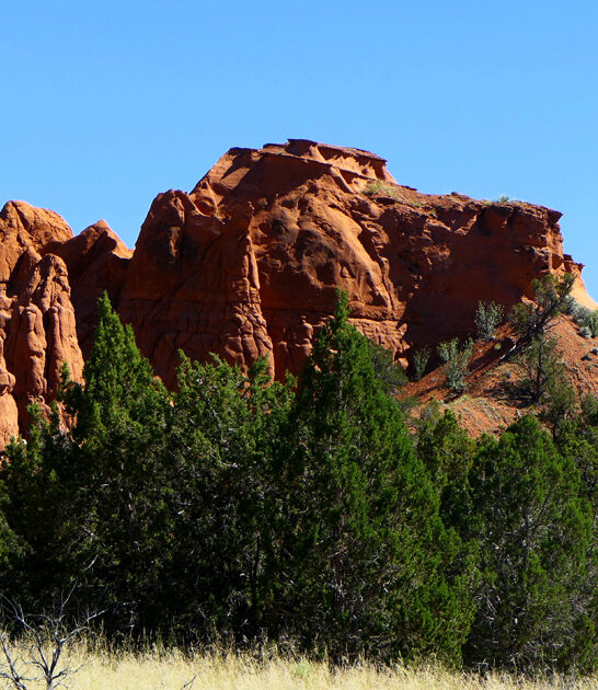 tiny state utah park ftr