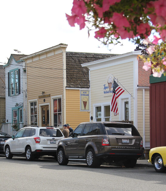 tiny town washington ftr