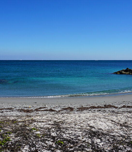top state park florida ftr