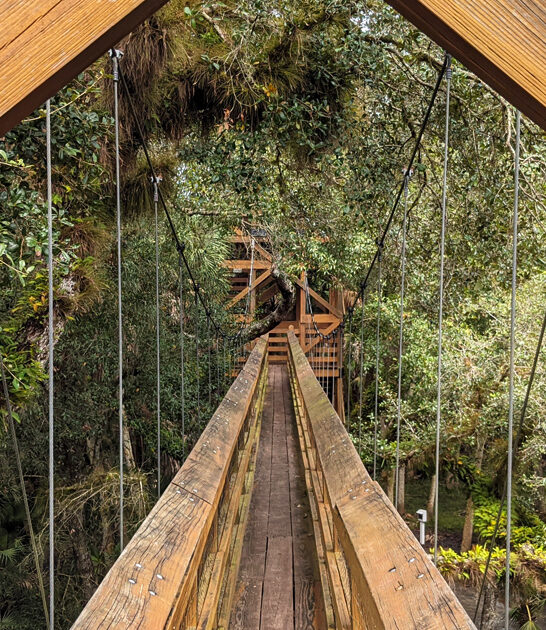 trail florida perfect adventure ftr