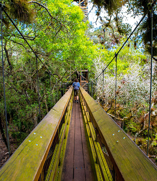 trail florida picturesque ftr