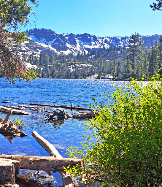 trip fascinating california state ftr