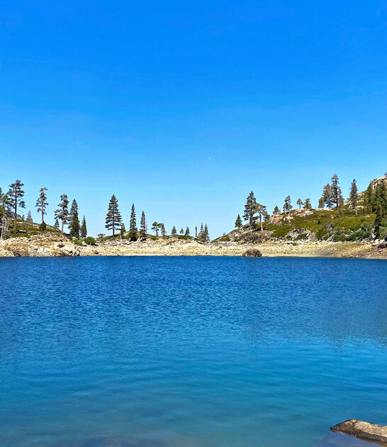 true solitude california park ftr