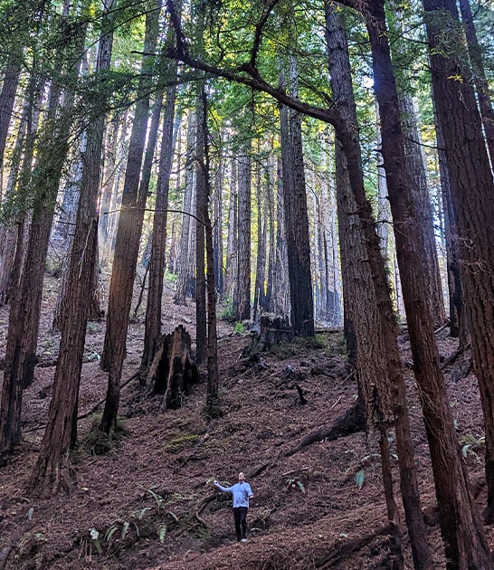 true solitude california underrated ftr