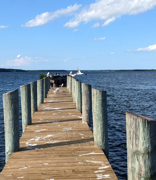 true solitude maryland park ftr