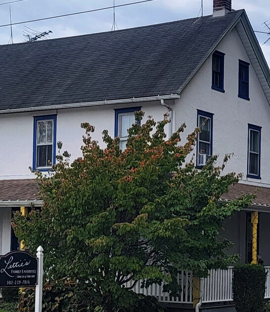 unassuming chicken restaurants delaware ftr
