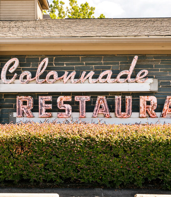 unassuming chicken restaurants georgia ftr