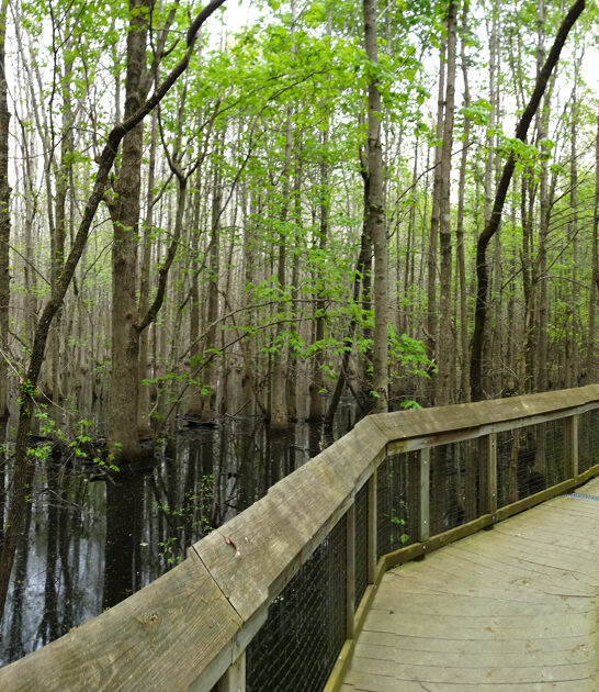 underrated arkansas state park ftr