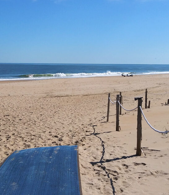 underrated beach delaware ftr