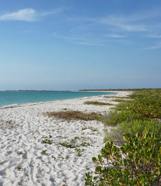 underrated beach florida ftr