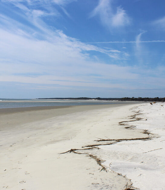 underrated beach georgia ftr