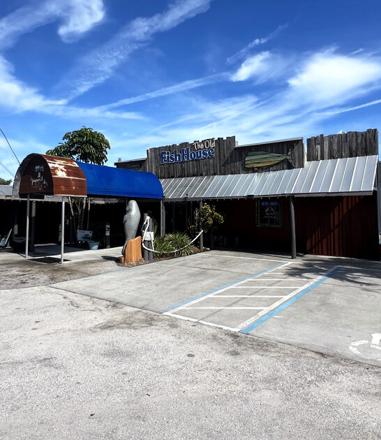 underrated florida fish sandwich ftr