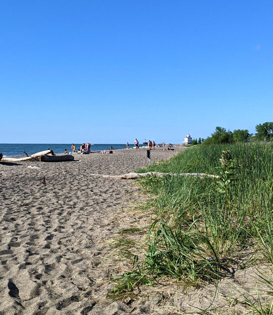 underrated lake beach ohio ftr