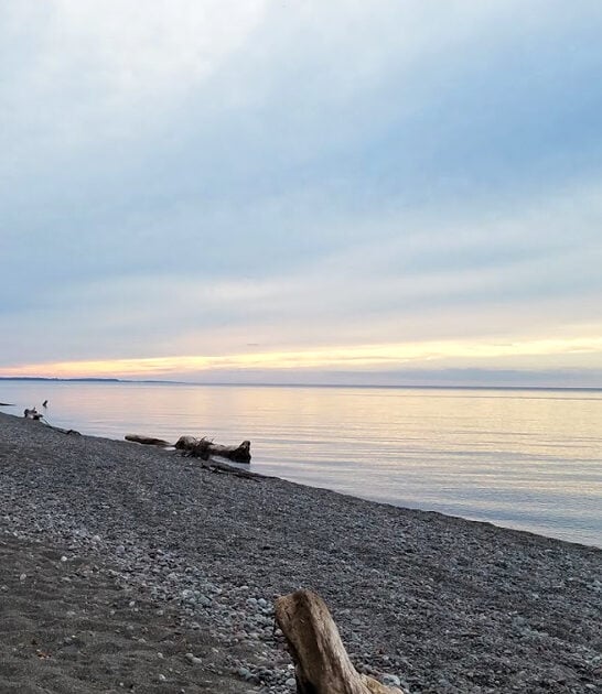 underrated new york park ftr