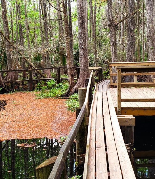 underrated park florida ftr
