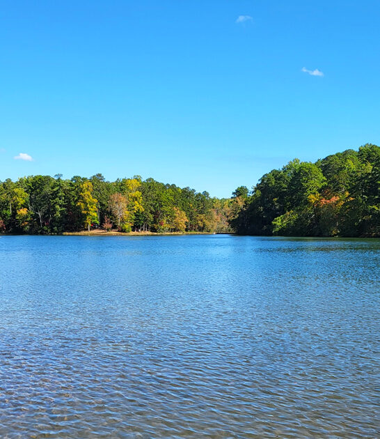 underrated park south carolina ftr