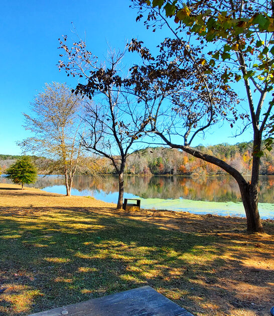 underrated parks drive alabama ftr