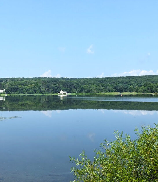 underrated parks new jersey ftr
