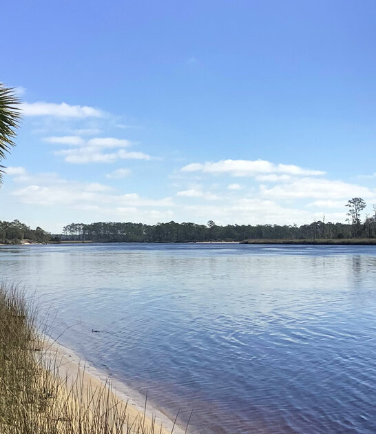 underrated state florida park ftr
