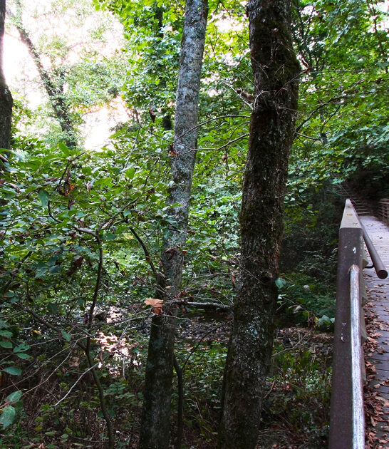 underrated state oklahoma park ftr