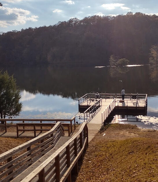 underrated state parks tennessee ftr